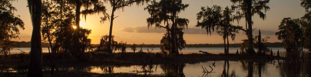 Who We Are - NEW Rayville Recovery
